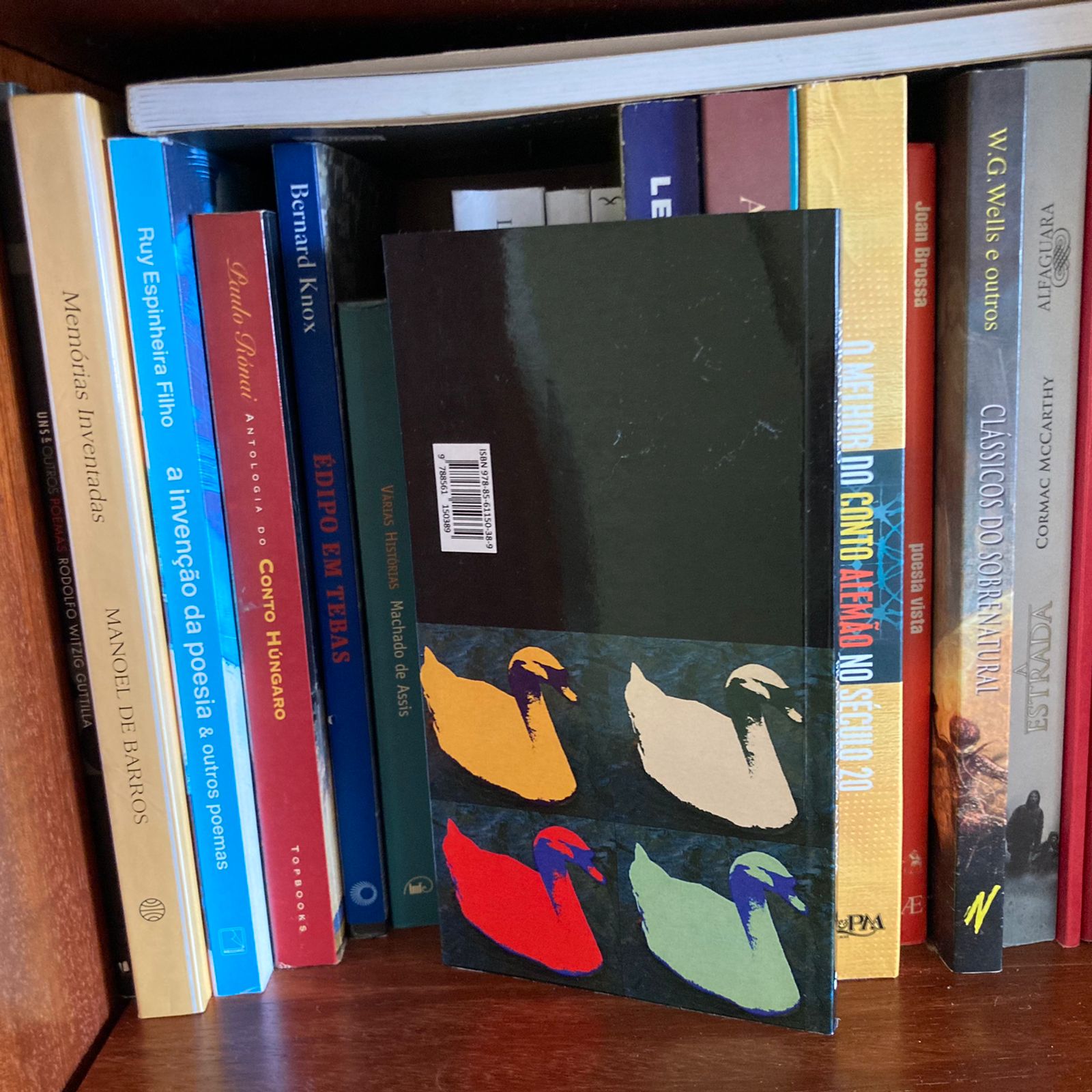 Livro: Brancos reflexos ao longe, de Mayrant Gallo | Pouso Cultural ...