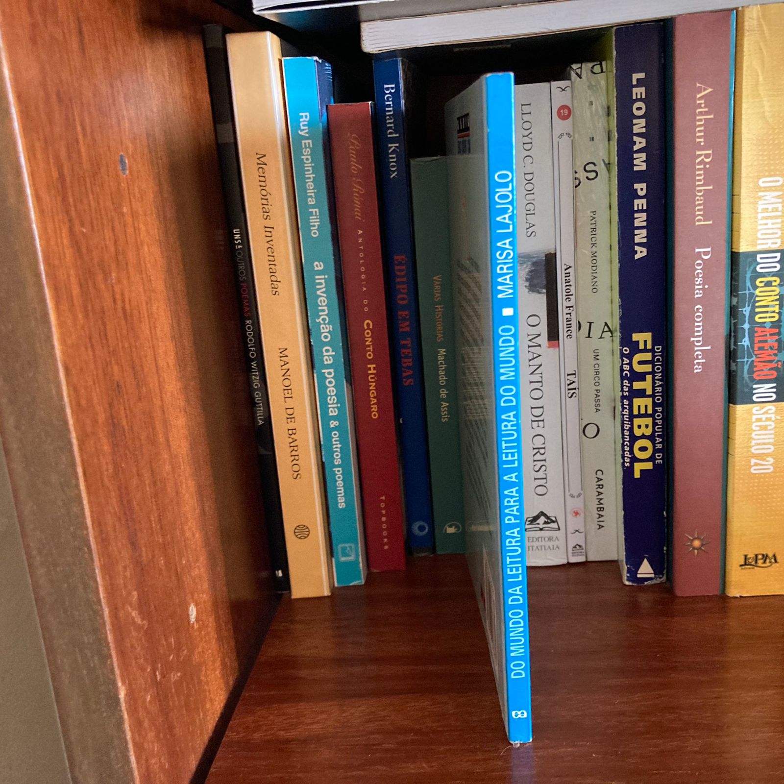 Livro: Do mundo da literatura para a leitura do mundo, de Marisa Lajol ...