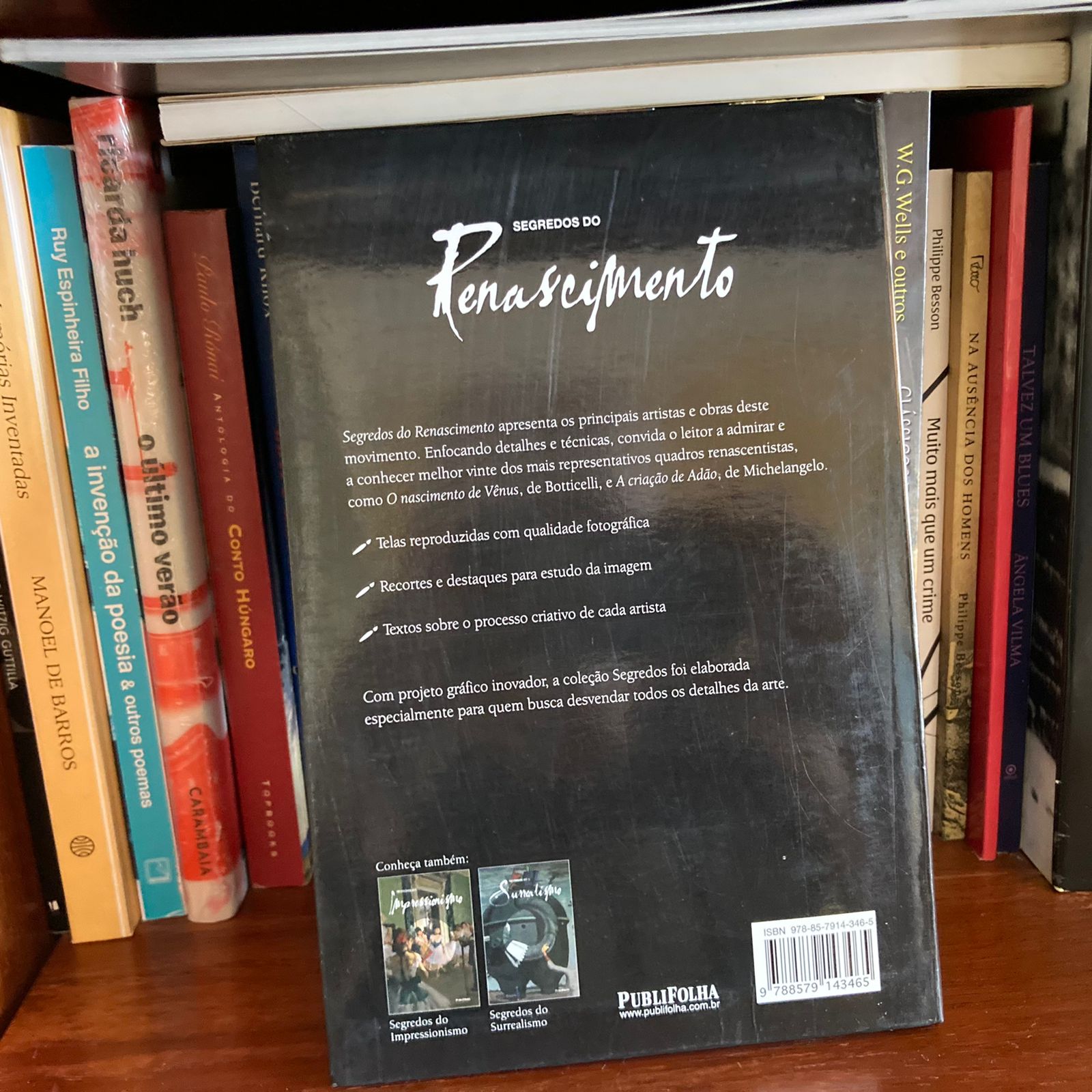 Livro: Os segredos do Renascimento, de Jeannie Labno - Usado - Pouso ...
