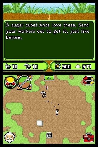 Ant Nation - Nintendo DS - Carvalho Games