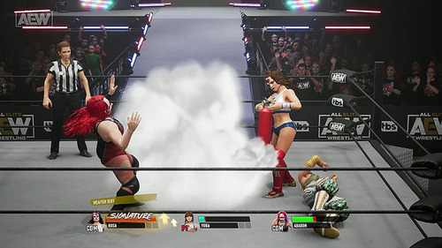 Aew Wrestling: Fight Forever - PS4 - Carvalho Games