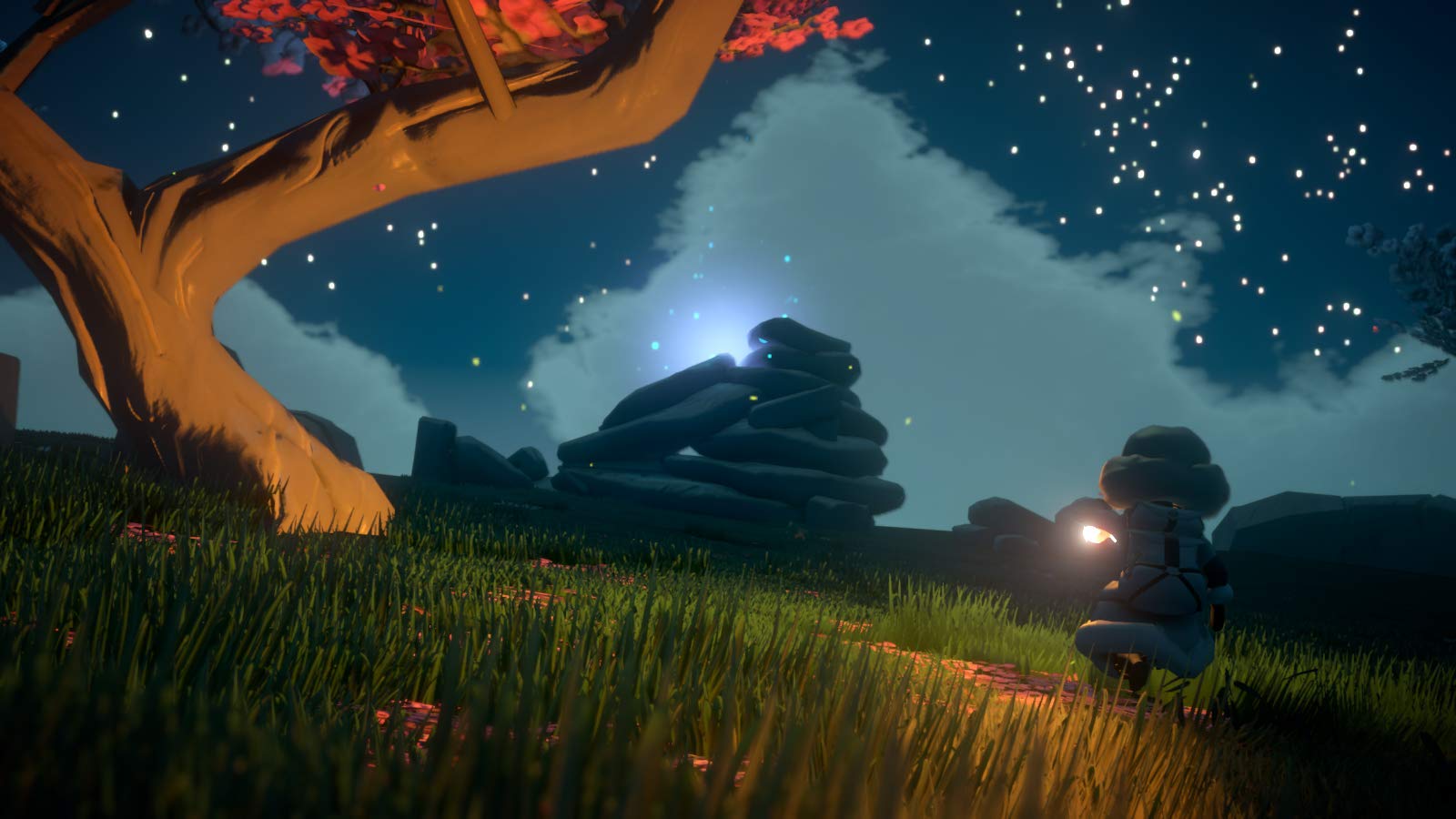 Yonder the Cloud Catcher Chronicles - Nintendo Switch - Carvalho Games