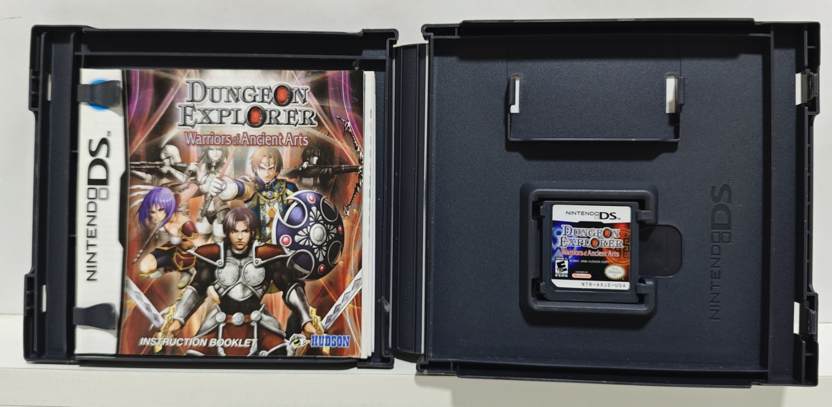Dungeon Explorer: Warrior Of Ancient Arts - Nintendo DS - Semi-Novo ...