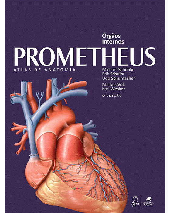 Livro Prometheus Coleção - Atlas de Anatomia 3 Volumes - Guanabara ...