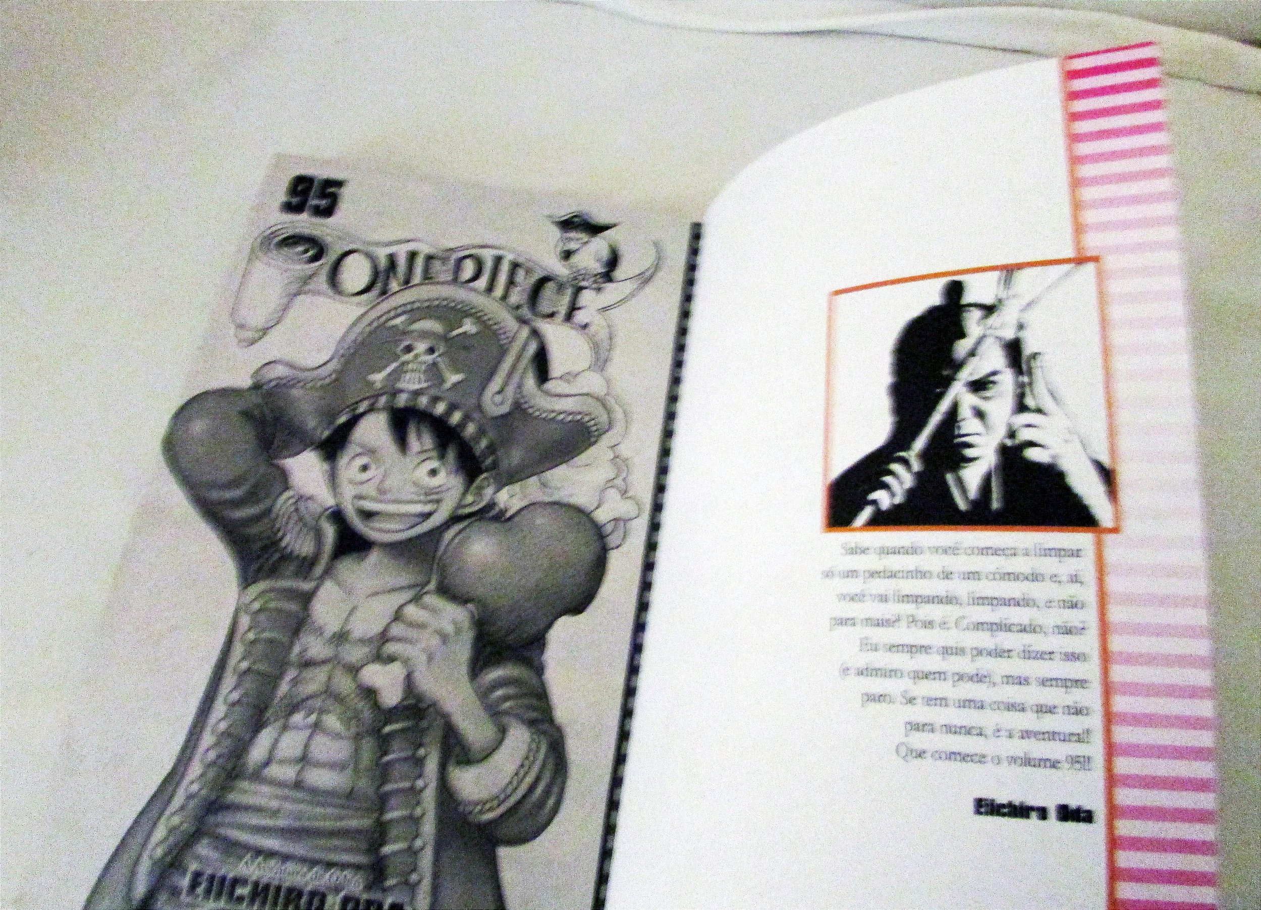 Mangá One Piece Vol. 95 Eiichiro Oda (Em Português) +1 Brinde - Harumi ...