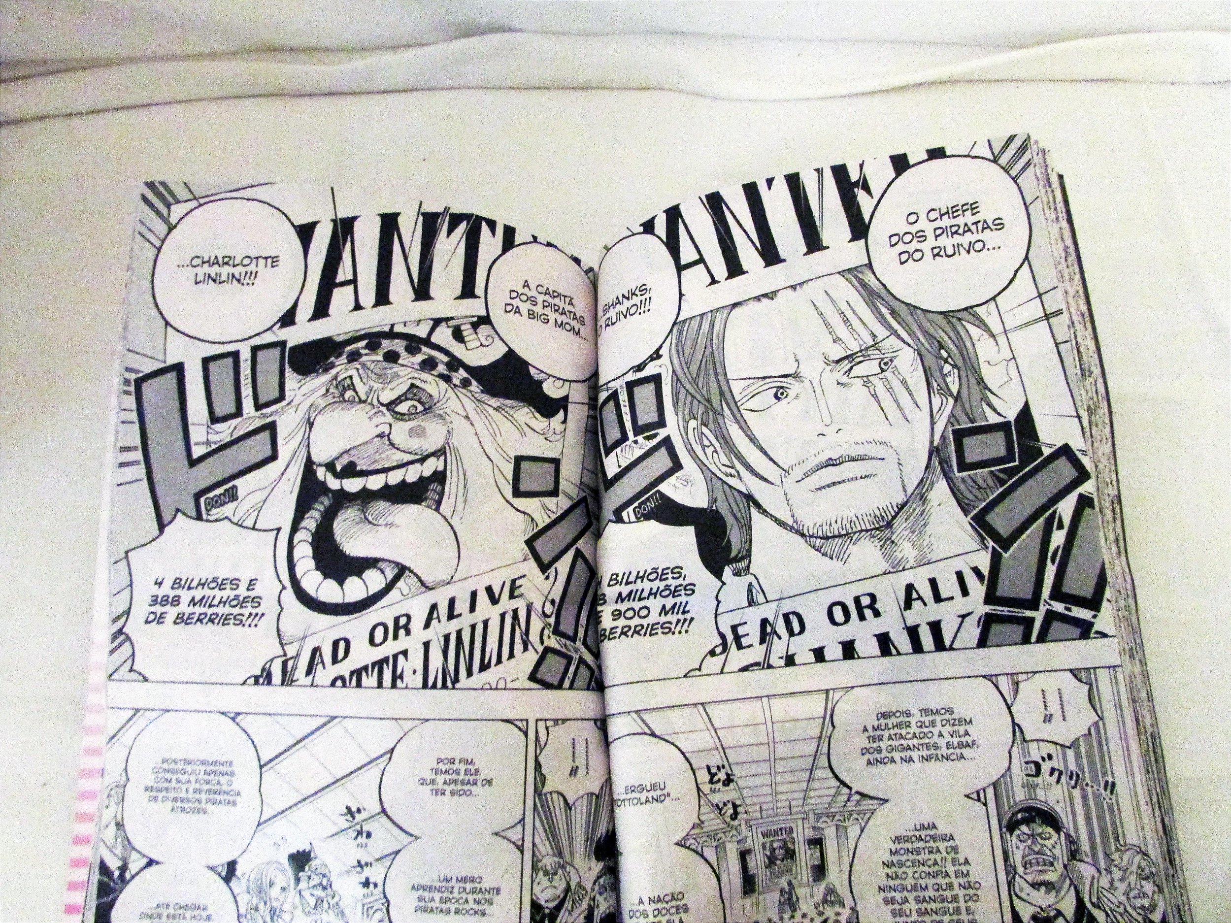 Mangá One Piece Vol. 95 Eiichiro Oda (Em Português) +1 Brinde - Harumi ...
