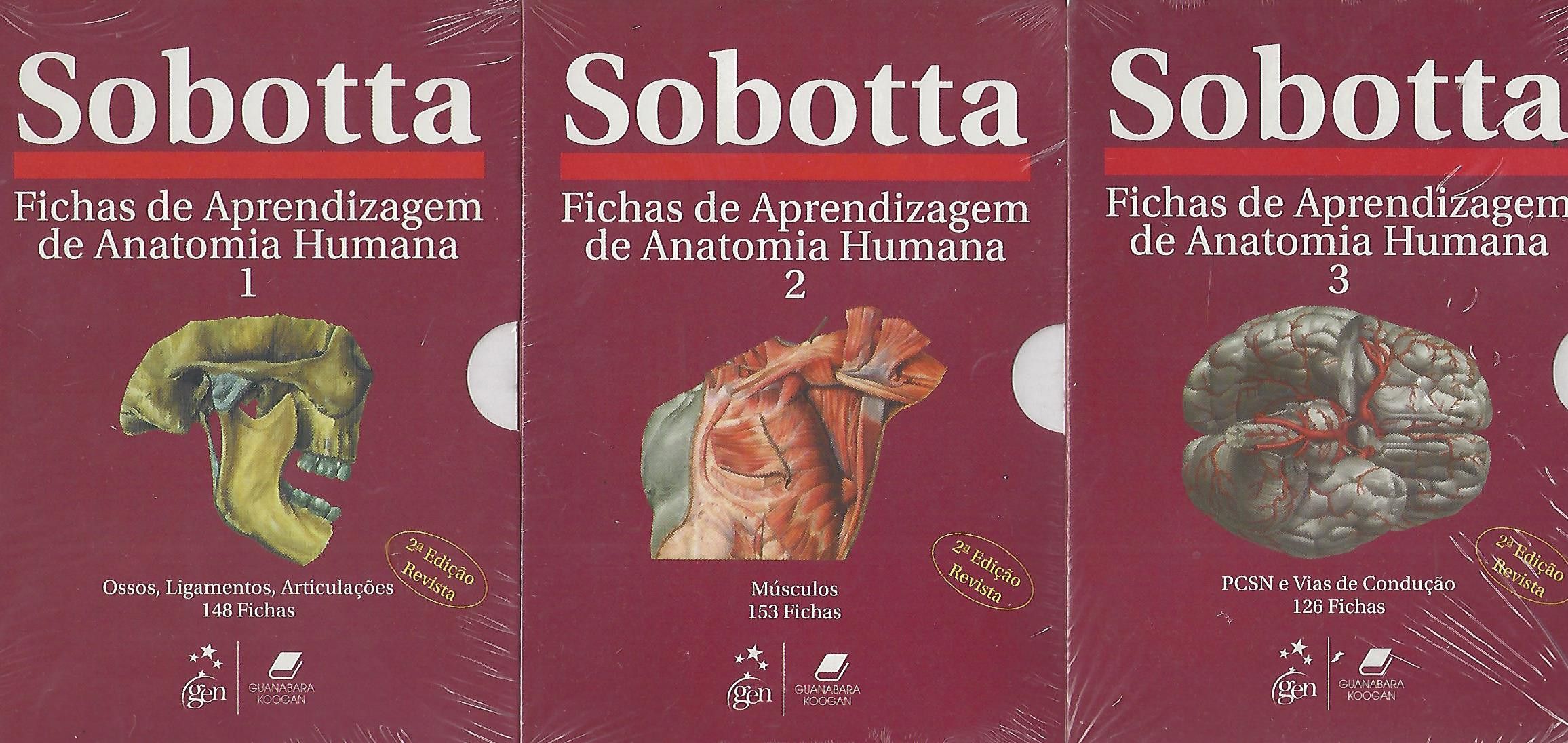 Sobotta - Fichas De Aprendizagem De Anatomia Humana - 3 Volumes ...