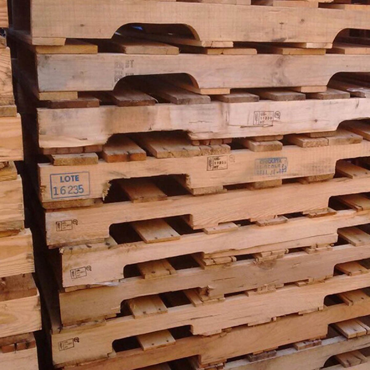 Pallet Madeira Cavinha - GM PALLETS