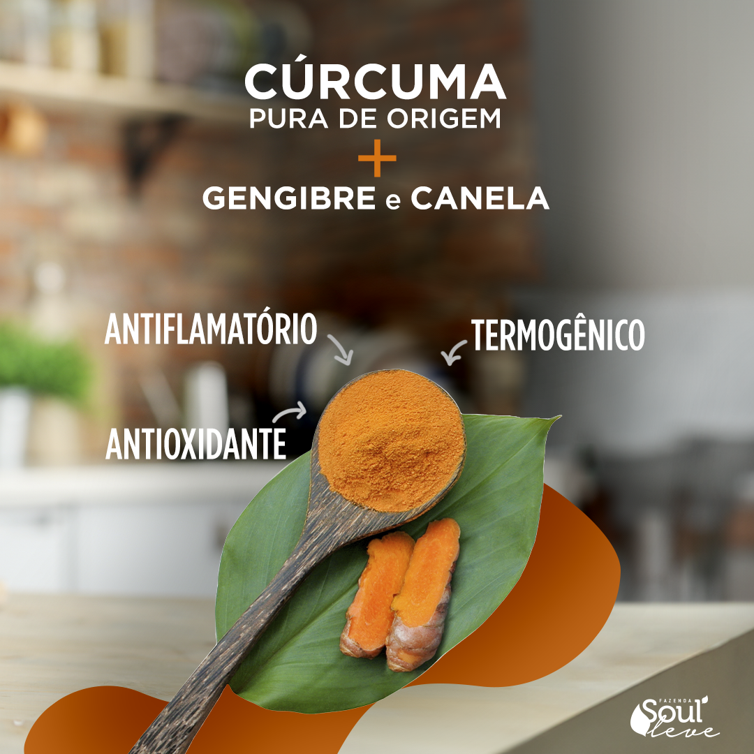 Shot Cúrcuma+ Manhã - Com gengibre e canela (100g)- Fazenda Soul Leve ...