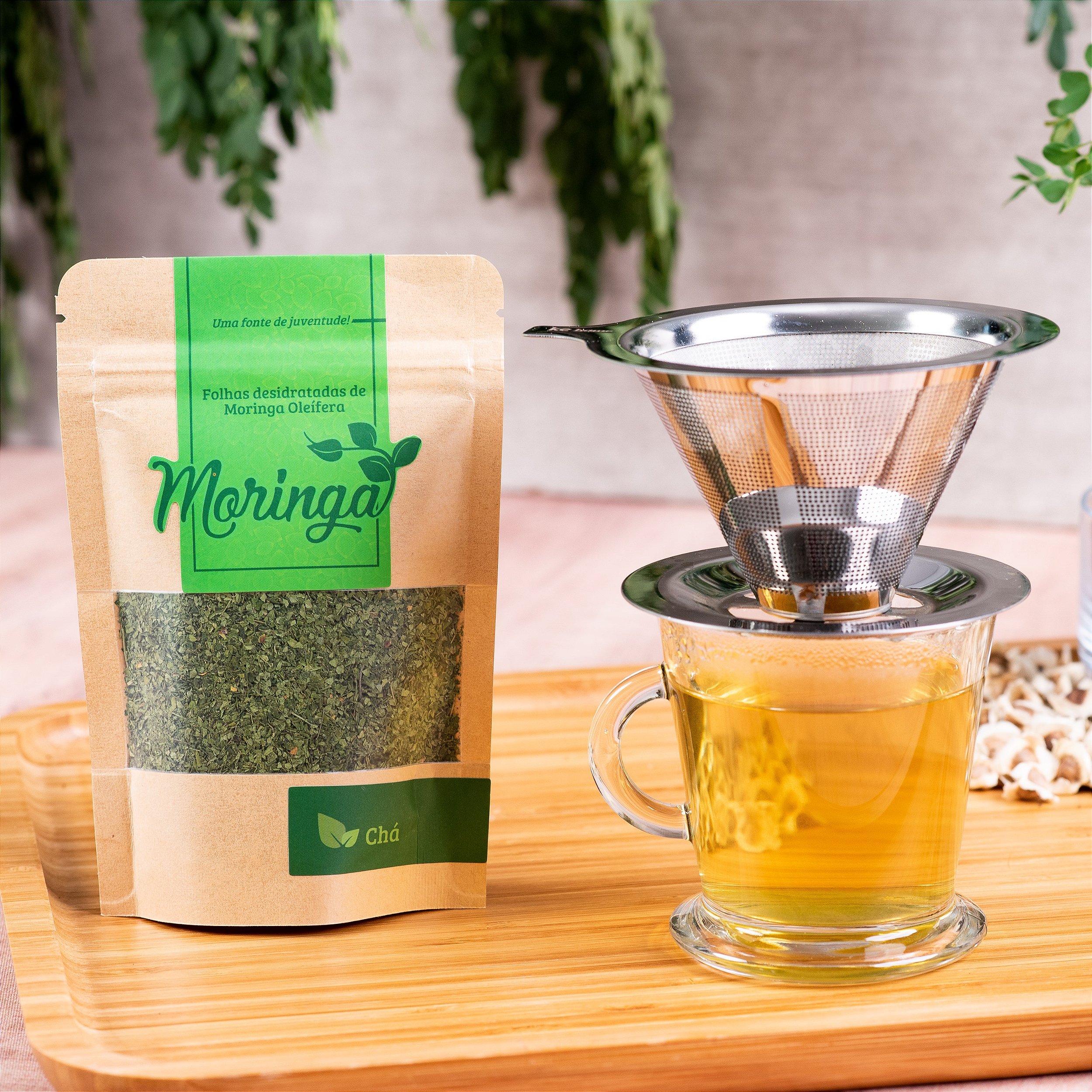 Chá de Moringa Oleífera - Moringa oleífera, árvore da vida e fonte de ...