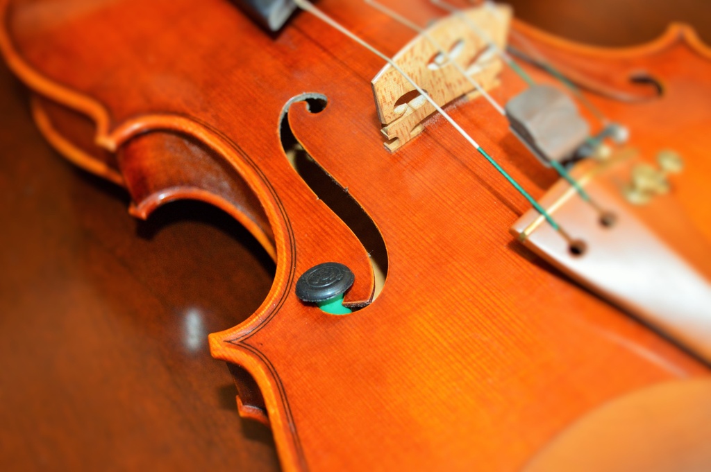 DAMPIT - UMIDIFICADOR PARA VIOLINO - JEAN JOLUVIER LUTHIERIA