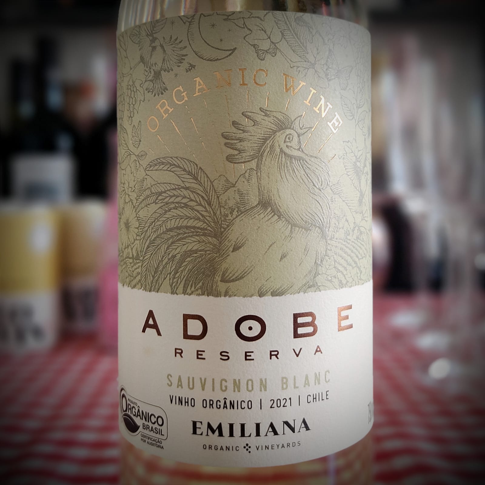 Adobe Reserva Sauvignon Blanc - Mestre Bacco Vinhos e Cia