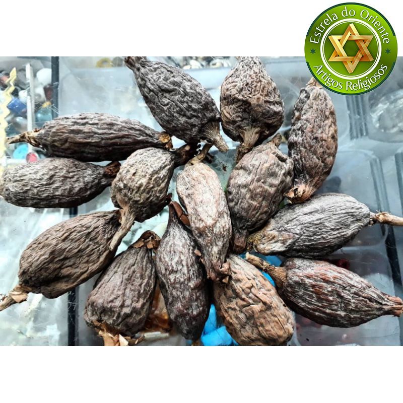 Fava de Ataré / Fava da Pimenta da Costa - Loja Estrela do Oriente