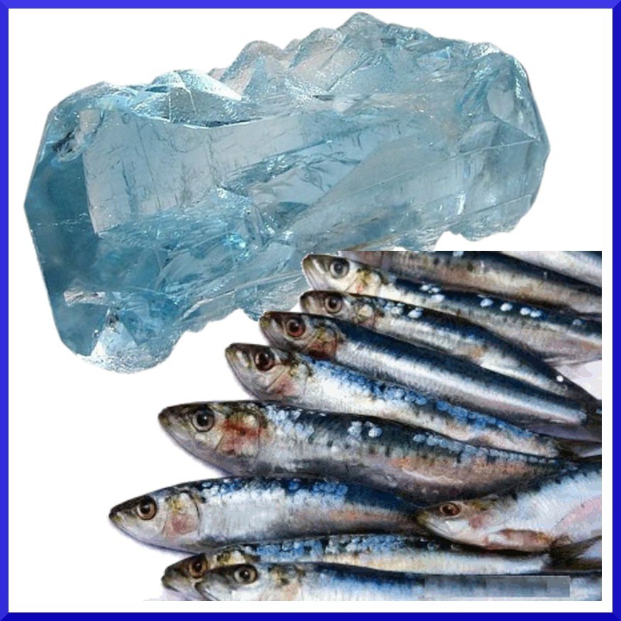 Pulseira Chakras Topázio Azul Magia Do Oceano Sardinha Fish - MARLEX STORE