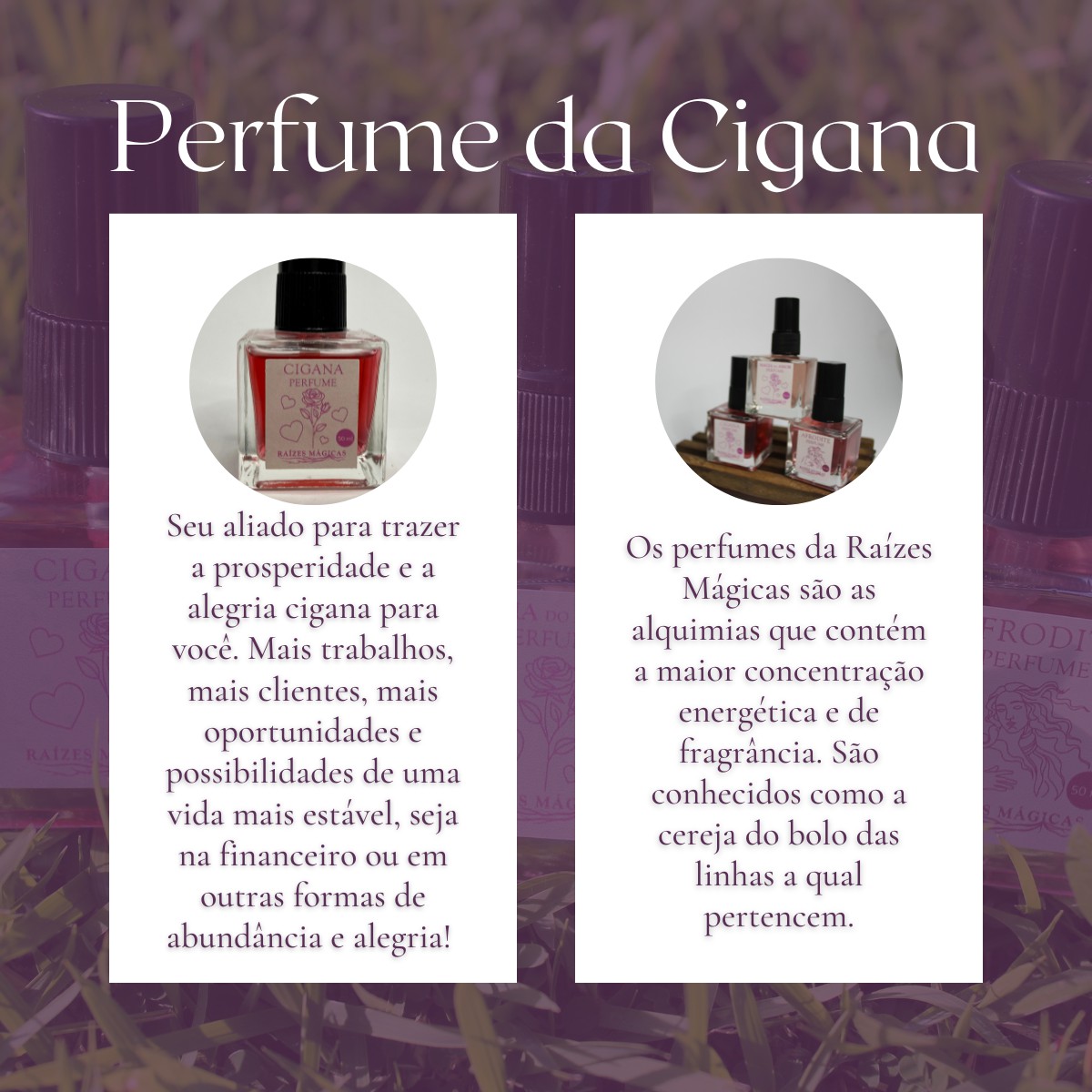 Perfume da Cigana - Raízes Mágicas