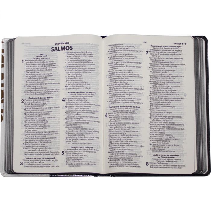 Bíblia Sagrada - Leão ARA Capa Dura Letra Normal SBB - SEMENTES ...