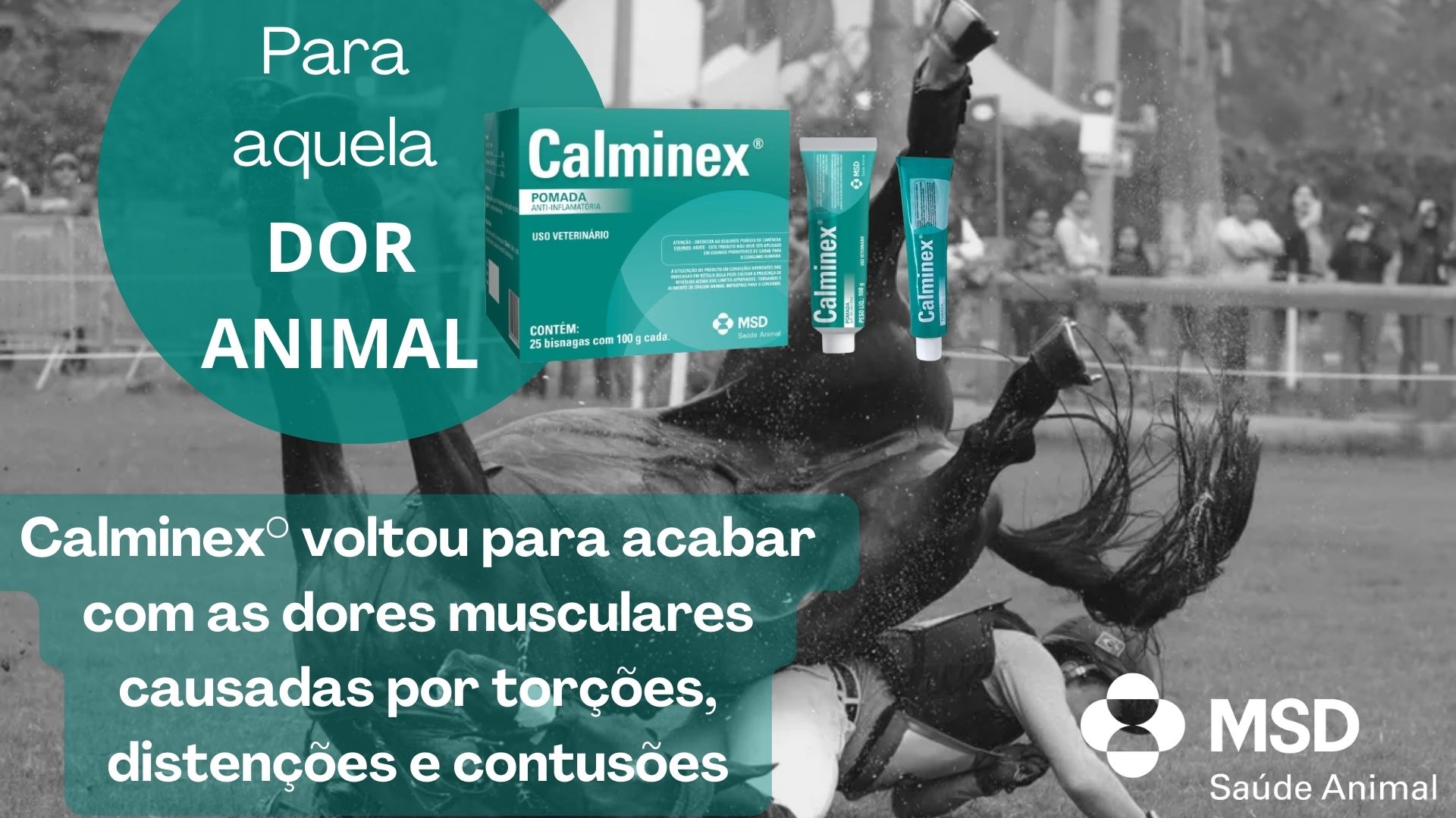 Calminex Pomada Uso Veterinário 30g Dores E Pancadas - WebCão - Pet ...