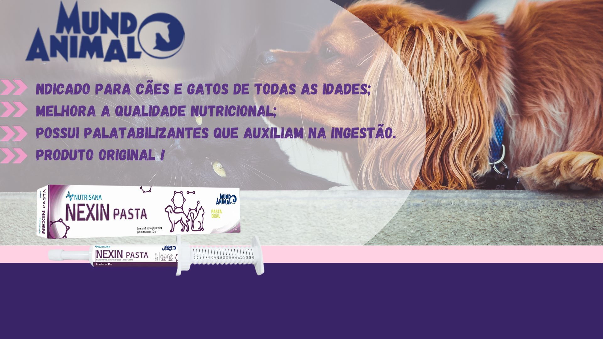 Nutrisana Nexin Pasta Seringa 40 g - WebCão - Pet Shop e Veterinária