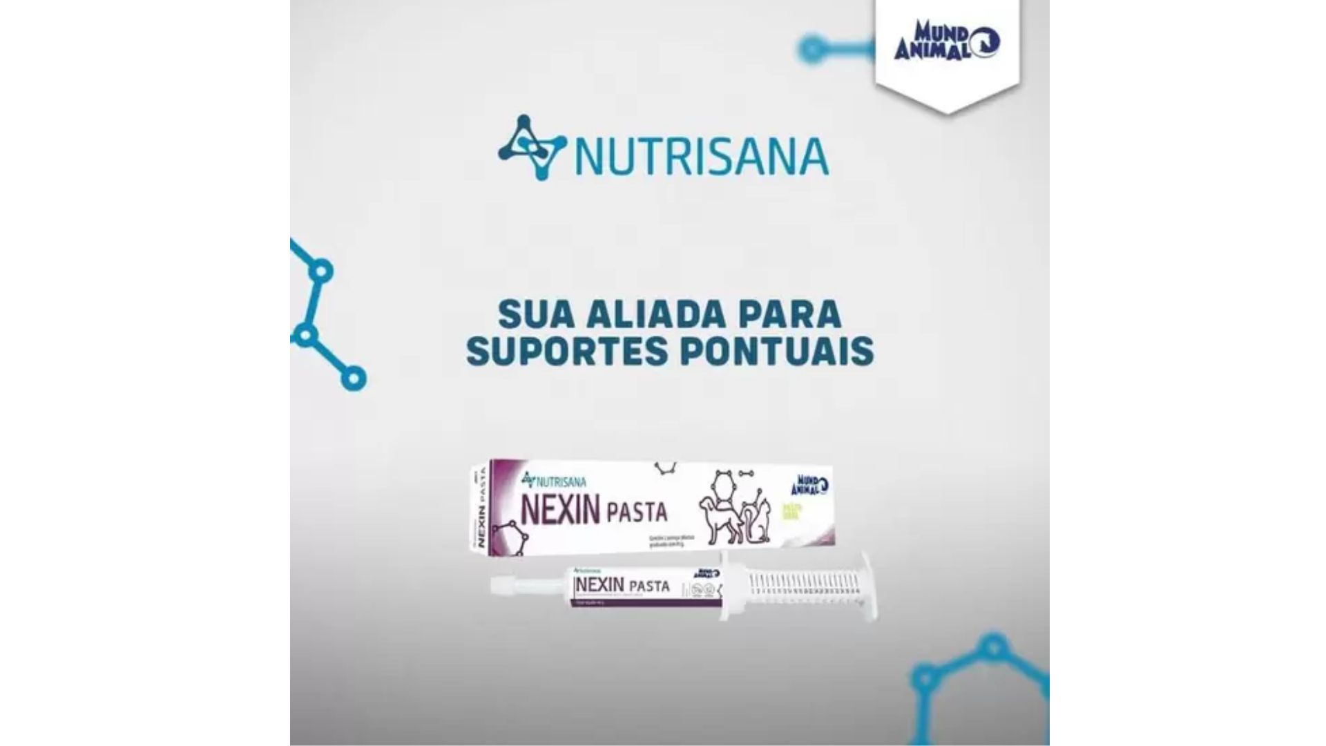 Nutrisana Nexin Pasta Seringa 40 g - WebCão - Pet Shop e Veterinária