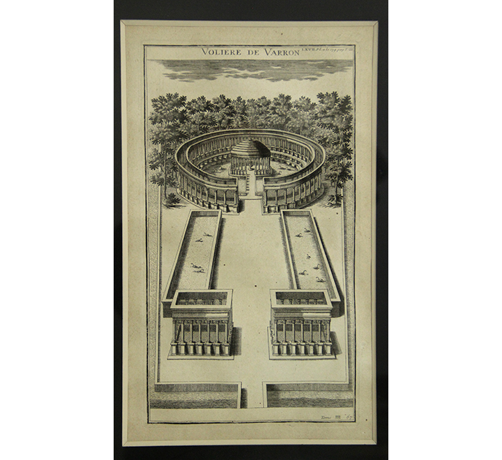 Gravura Antiga | Voliere de Varron | Casa 8 Home - Casa 8 Home