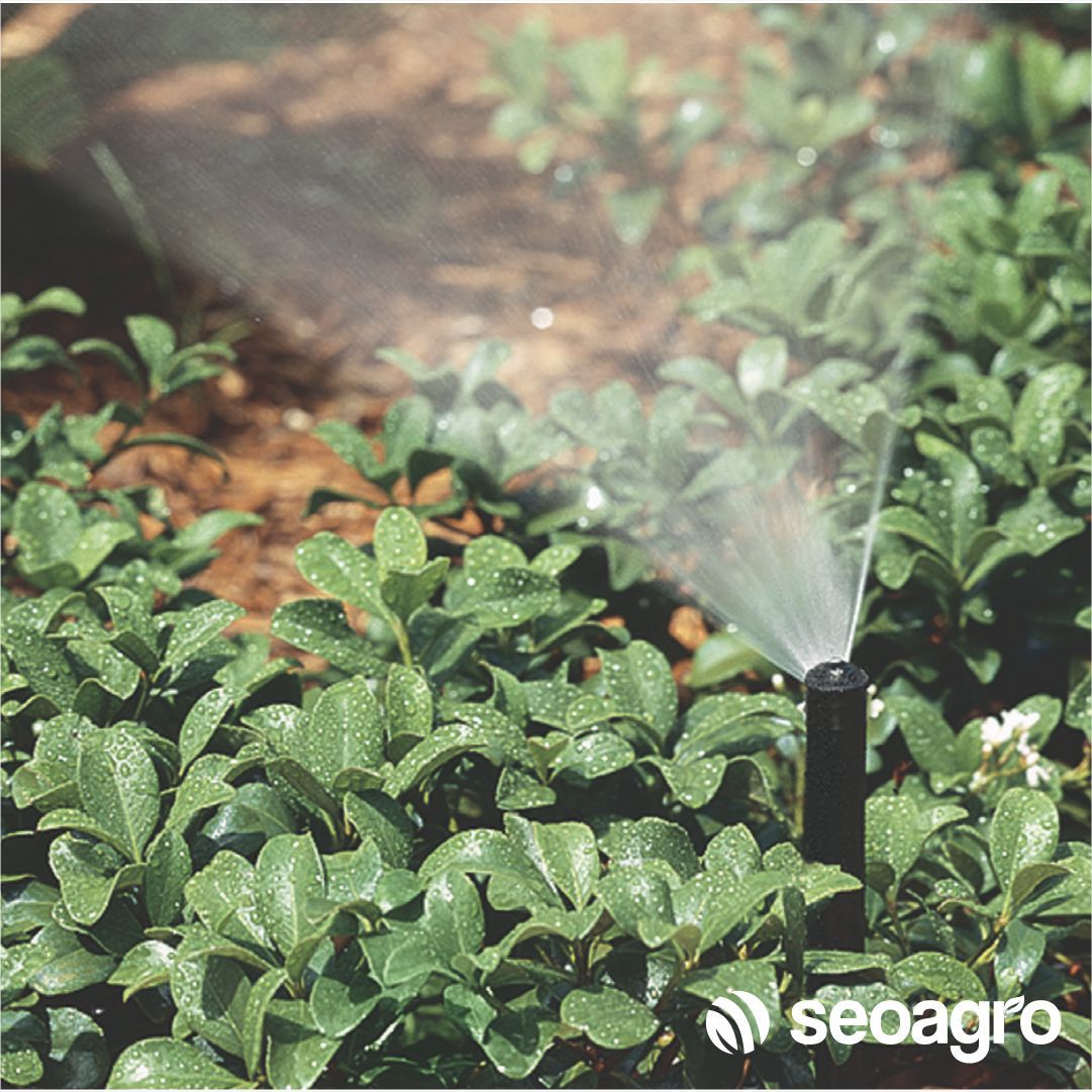 Aspersor Np Spray 4 C/ Bocal Ajustavel Kvf10 Raio 3.1 Metros - SeoAgro ...