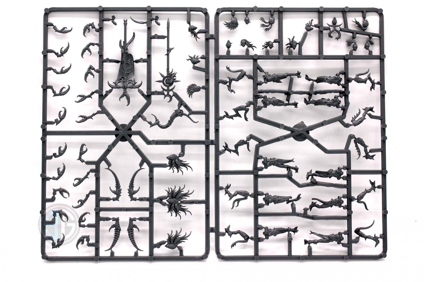 Daemonettes Age of Sigmar - Big Jogos | Warhammer 40k, Age of Sigmar ...