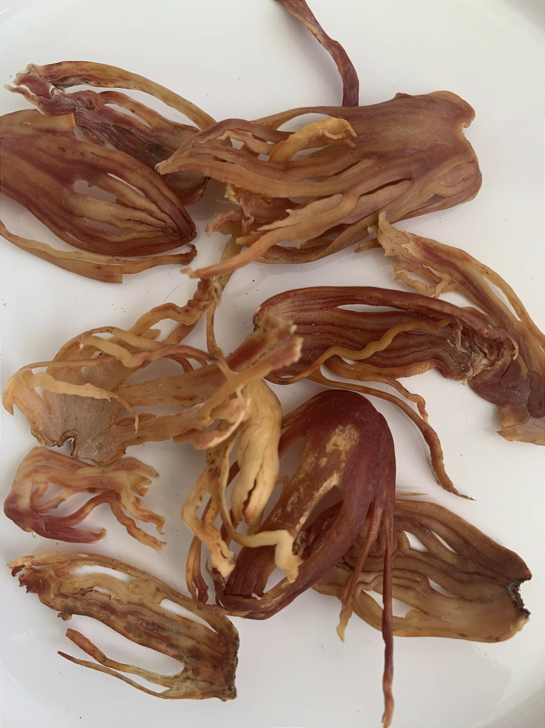 Macis ou Mace - Especiaria do Brasil - Nativas Frutas Exóticas e ...