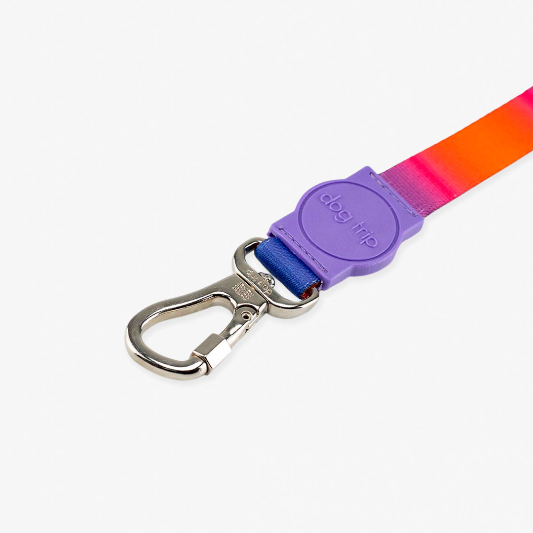 Guia para cachorros Hold On Padang - Dog Trip Brasil