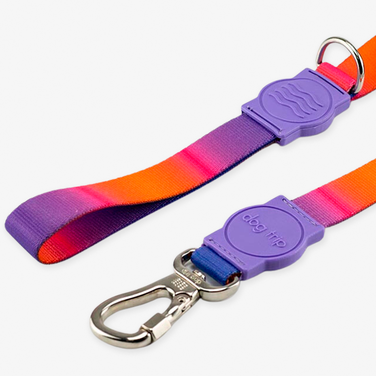 Guia para cachorros Padang - Dog Trip Brasil