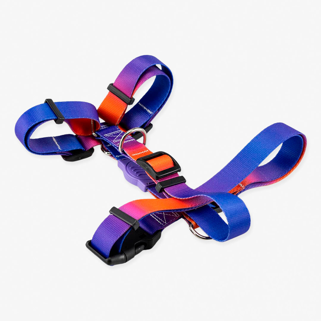 Peitoral para cachorros H Smart Padang - Dog Trip Brasil