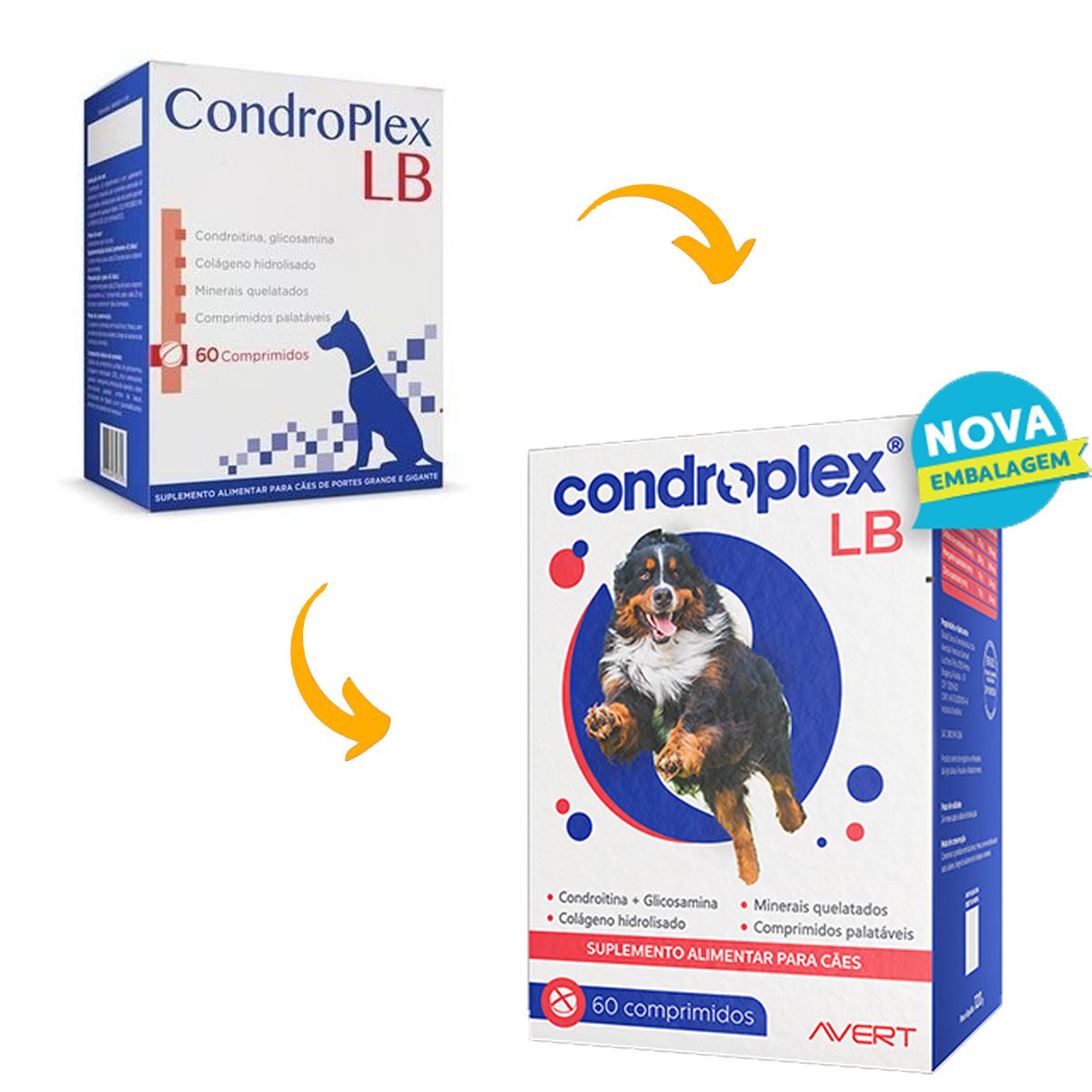 Suplemento Nutricional CondroPlex LB 120G Cães 60 Comprimidos Avert ...
