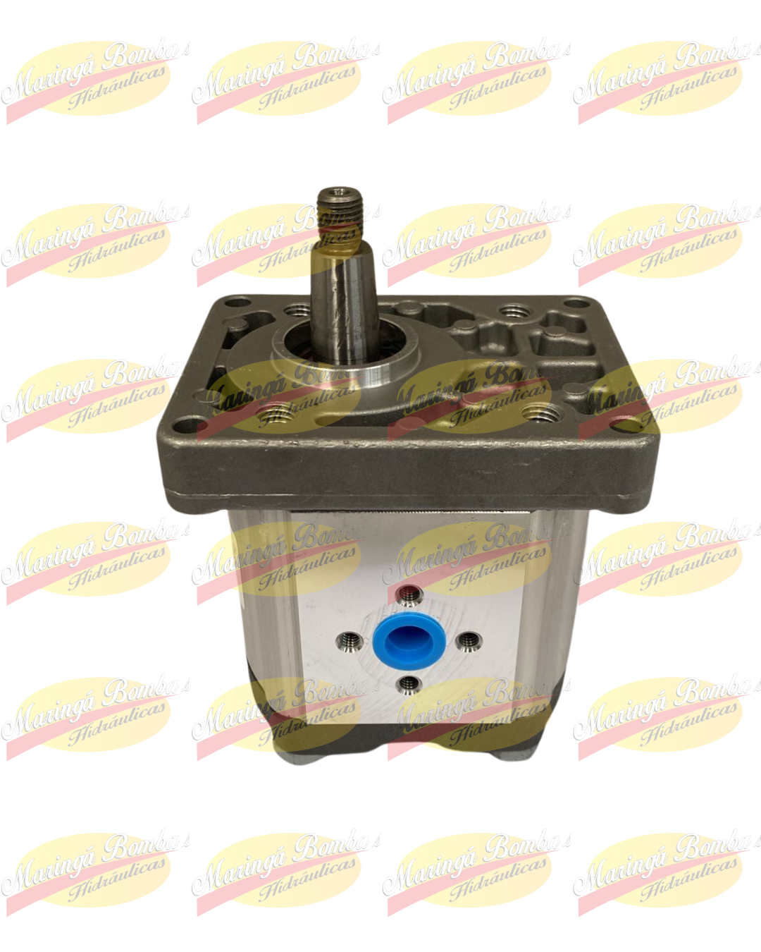 BOMBA HIDRÁULICA F000510605 - Maringá Bombas Hidráulicas | 50 anos de ...