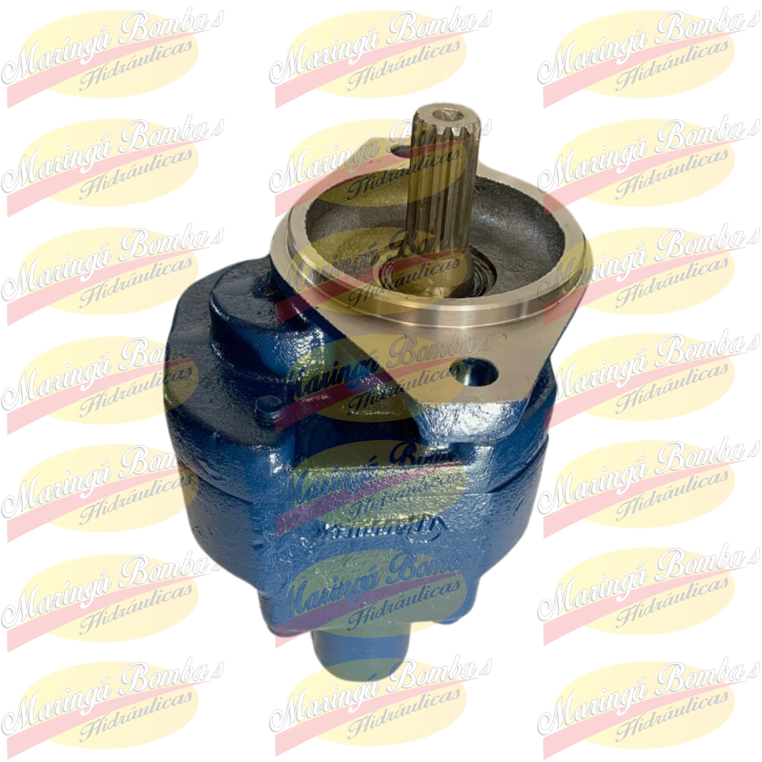 BOMBA HIDRÁULICA CAMINHÃO CAÇAMBA BASCULANTE - 1422800 - BHM200 ...