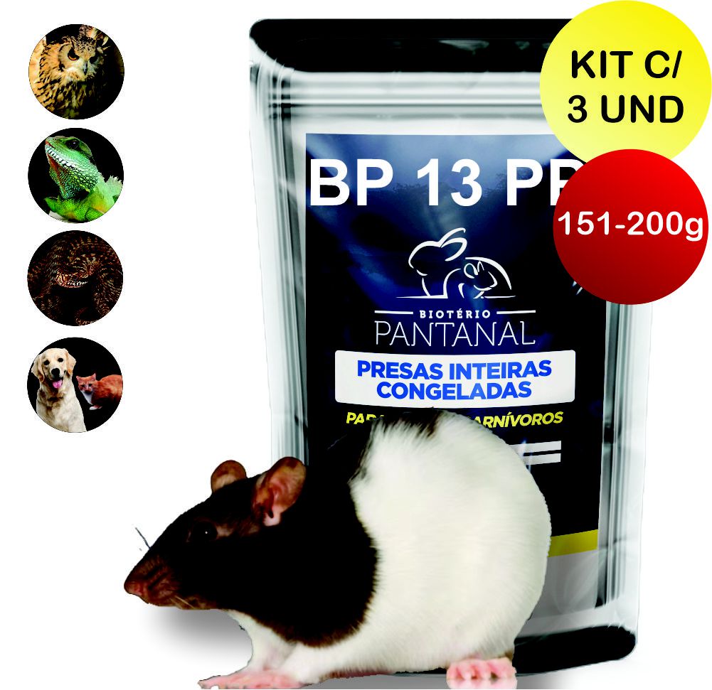 Ratos Mercol Congelados BP13 PP (151-200g) - REPTILX