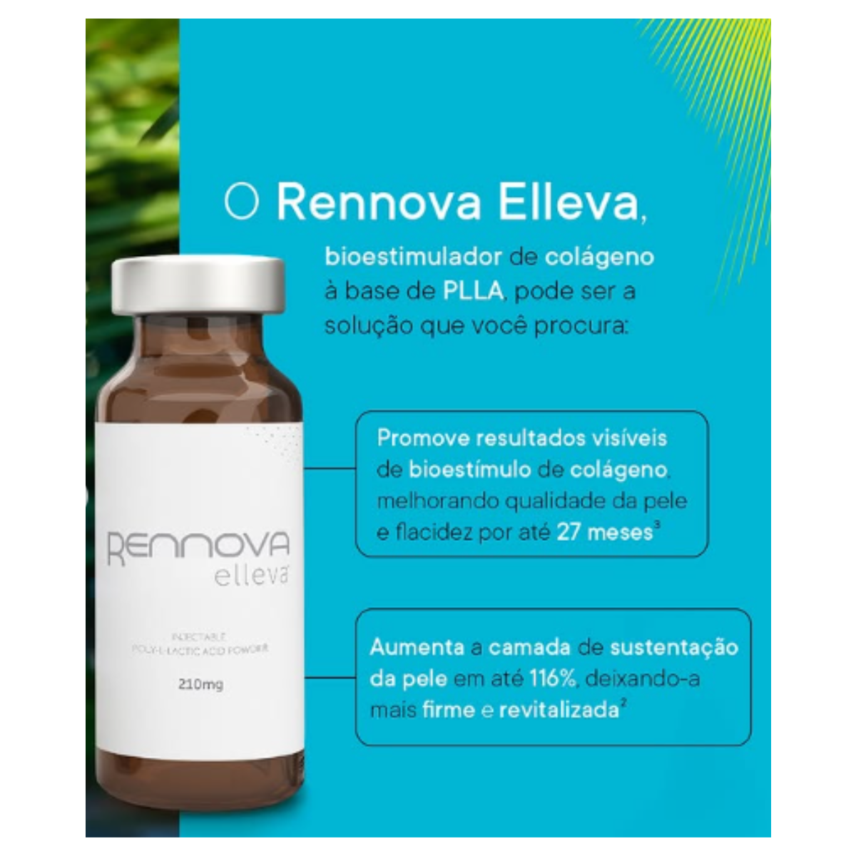 Rennova Elleva Ácido Poli-L-Láctico Com 1 Frasco de 210mg ...