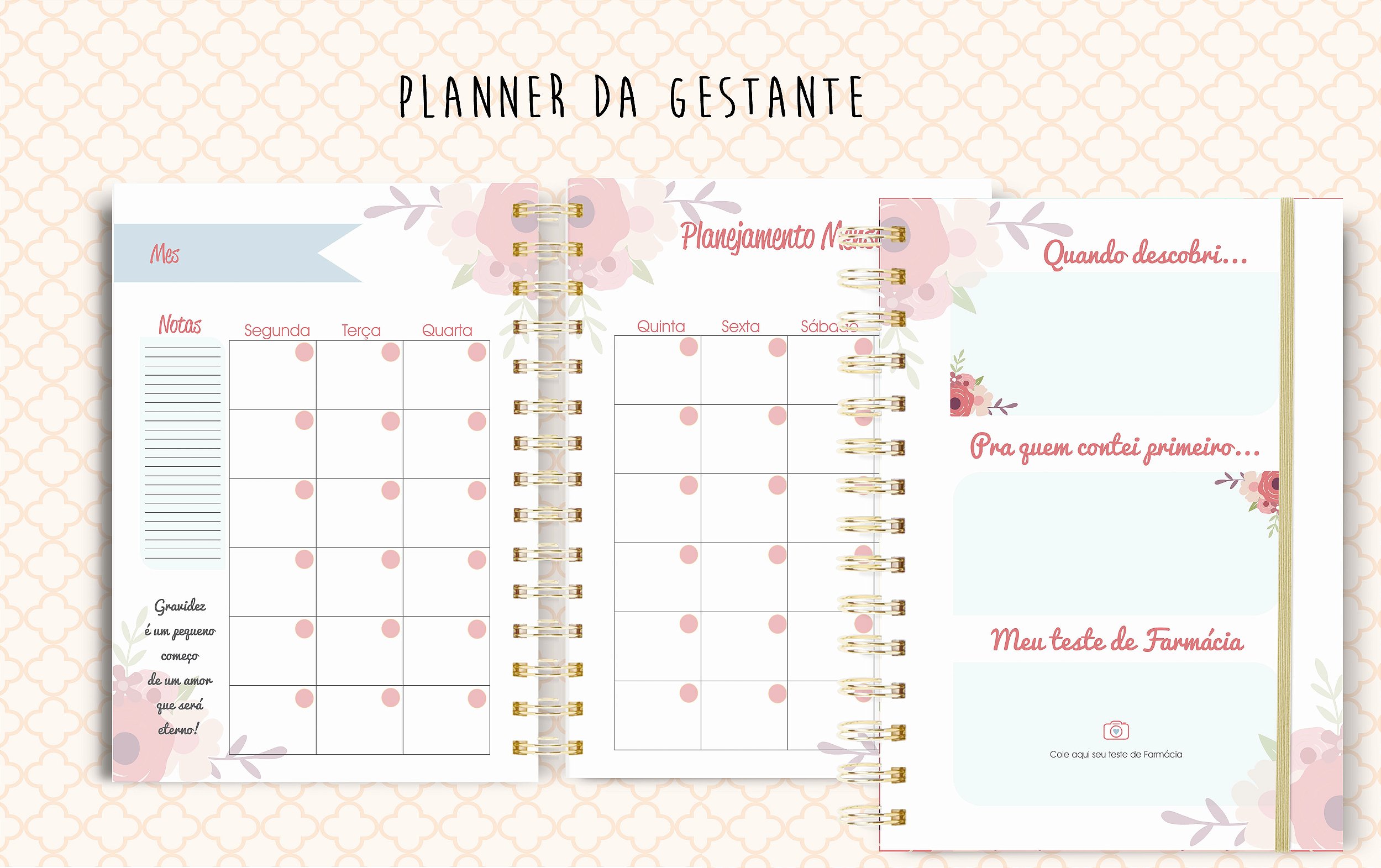 planner gestante - Litrix Papelaria