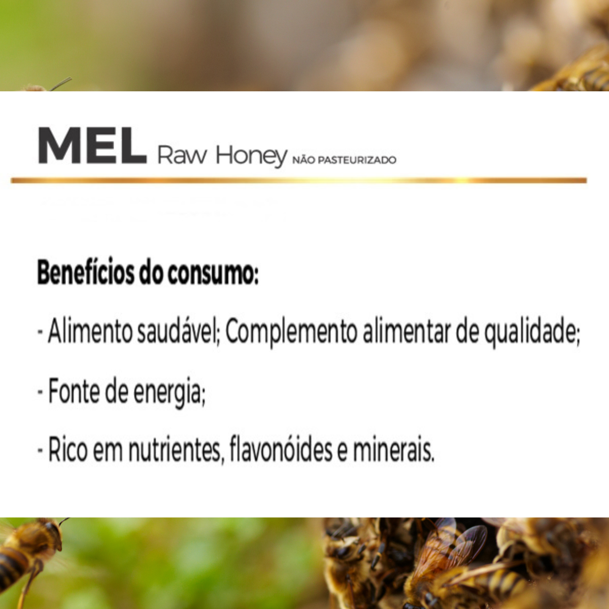 Mel Zunn Raw Honey Cru Natural e Não Pasteurizado – 100% Puro - Saúde ...