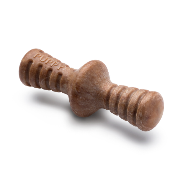 Benebone Puppy 2-Pack Map+Zag para Cães Filhotes - Boutique dos Bichos