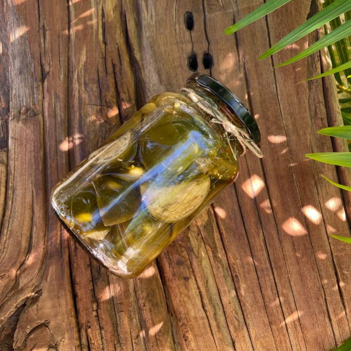 Jiló em Conserva 300gr (drenado) - Zulu Conserva Artesanal Jiló em Conserva 300gr (drenado) - Zulu Conserva Artesanal