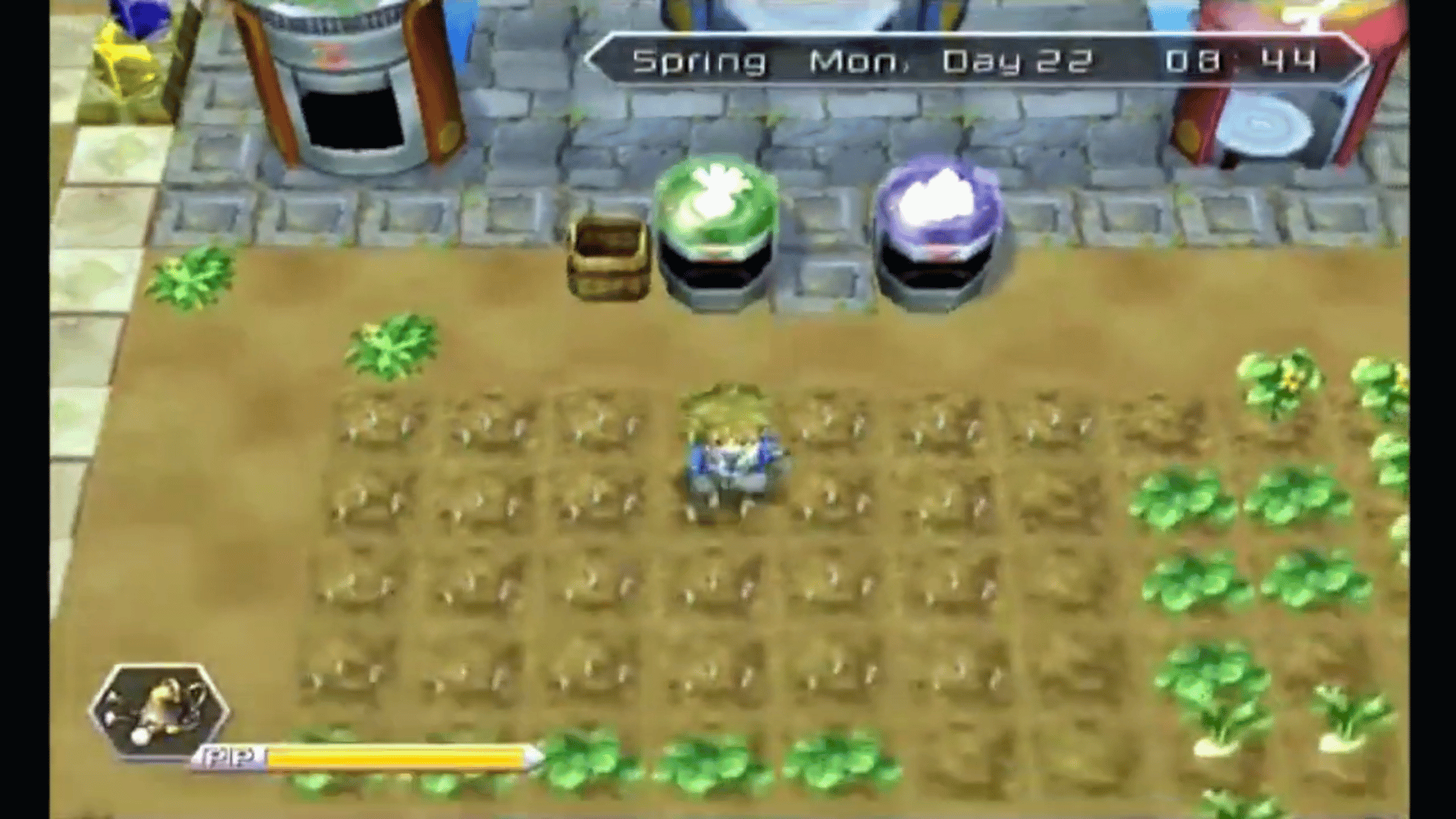 Innocent Life a Futuristic Harvest Moon PS2 Original Lacrado (Americano ...