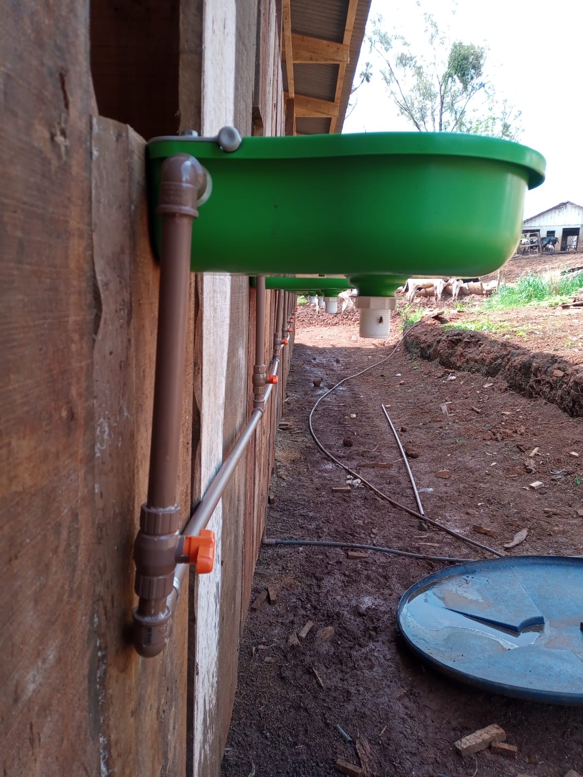 Bebedouro Automático Bospan Bovino 8L com Bóia e Tampa Retrátil ...