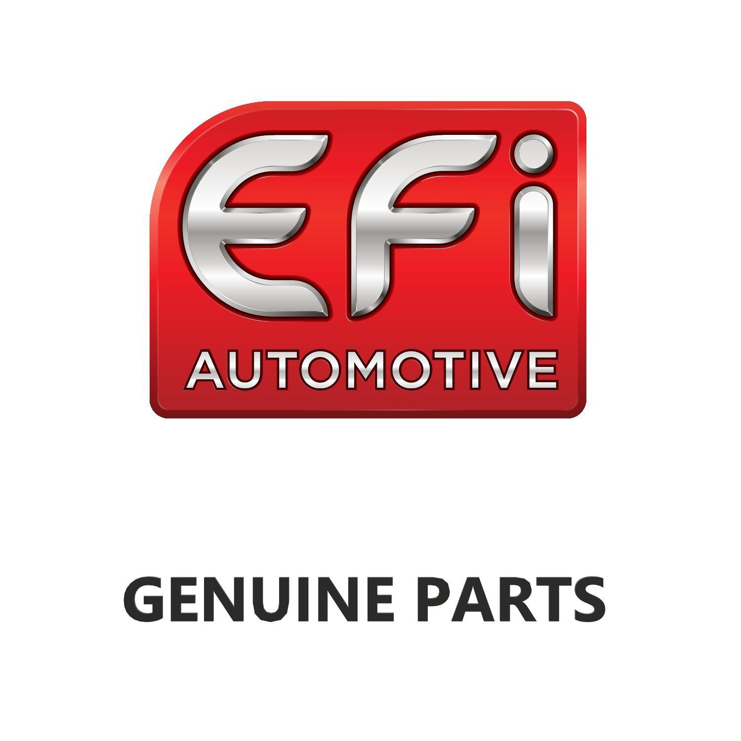 Bobina Ignição 19005236 EFI 155053 - Will Eletro - Cabos, Adaptadores ...