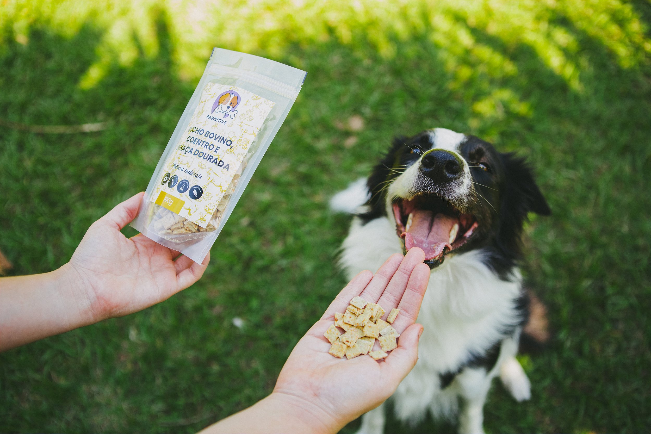 Petisco Natural de Bucho Bovino, Coentro e Linhaça Dourada - Pawsitive ...