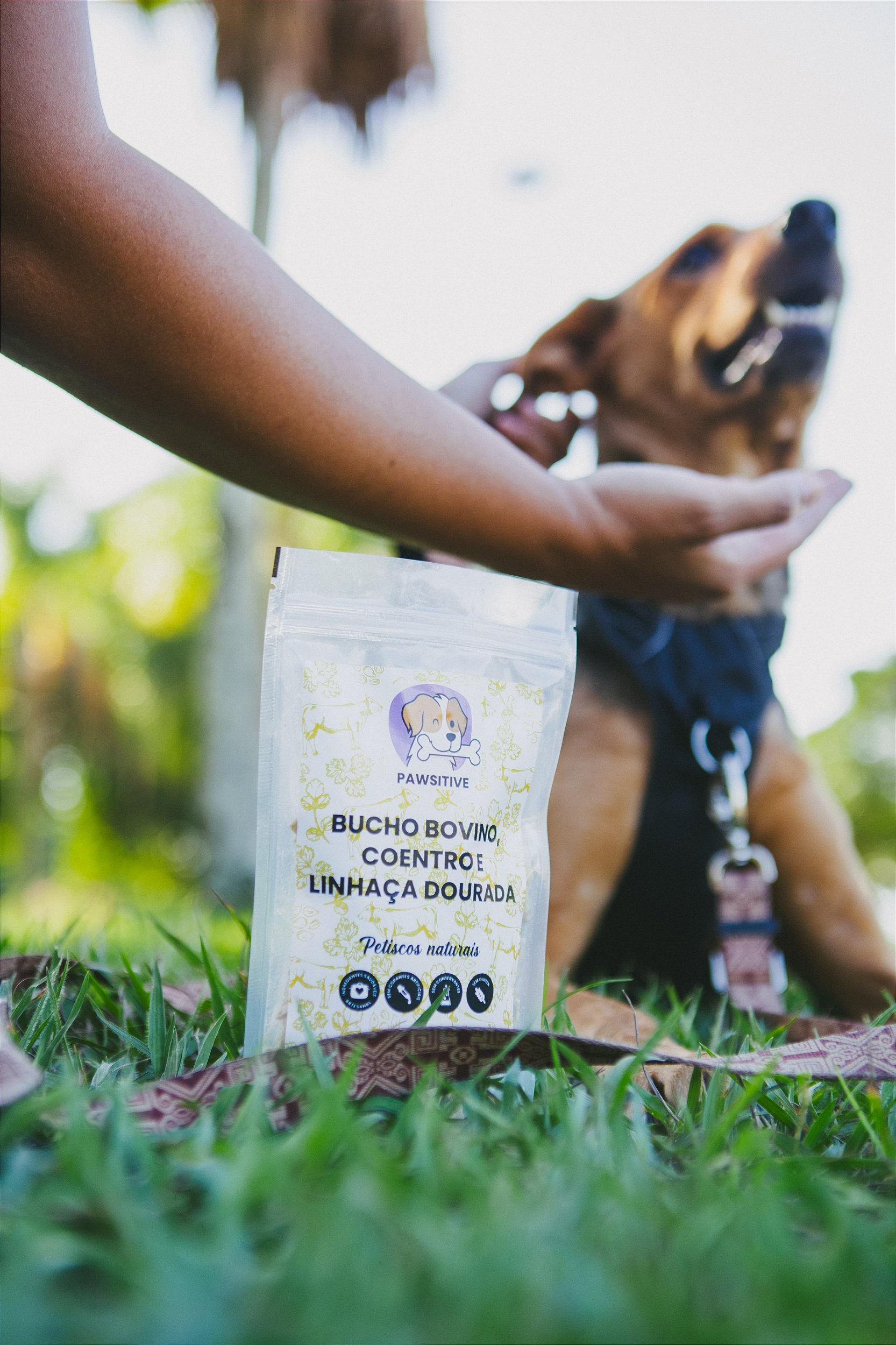 Petisco Natural de Bucho Bovino, Coentro e Linhaça Dourada - Pawsitive ...