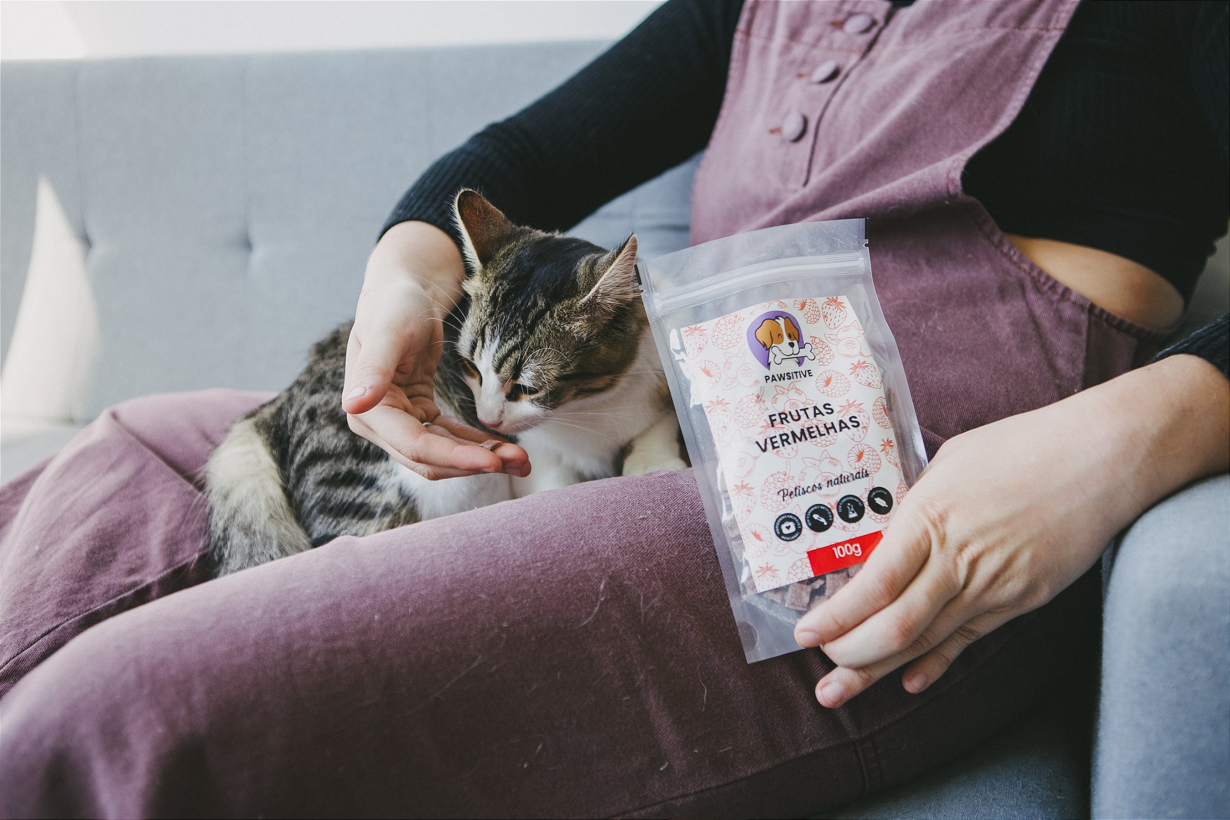 Petisco Natural de Frutas Vermelhas - Pawsitive Petiscos Naturais