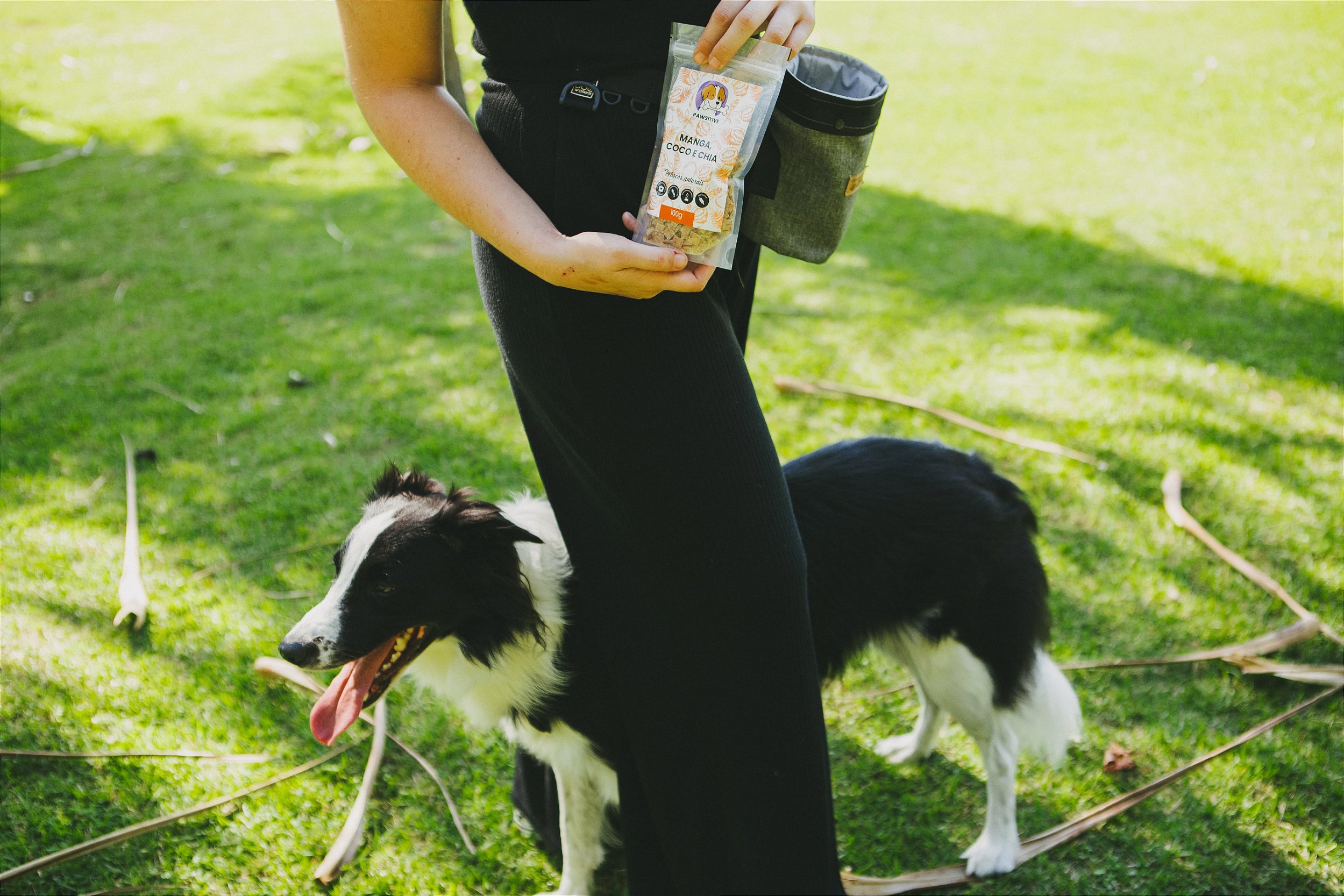 Petisco Natural de Manga, Coco e Chia - Pawsitive Petiscos Naturais