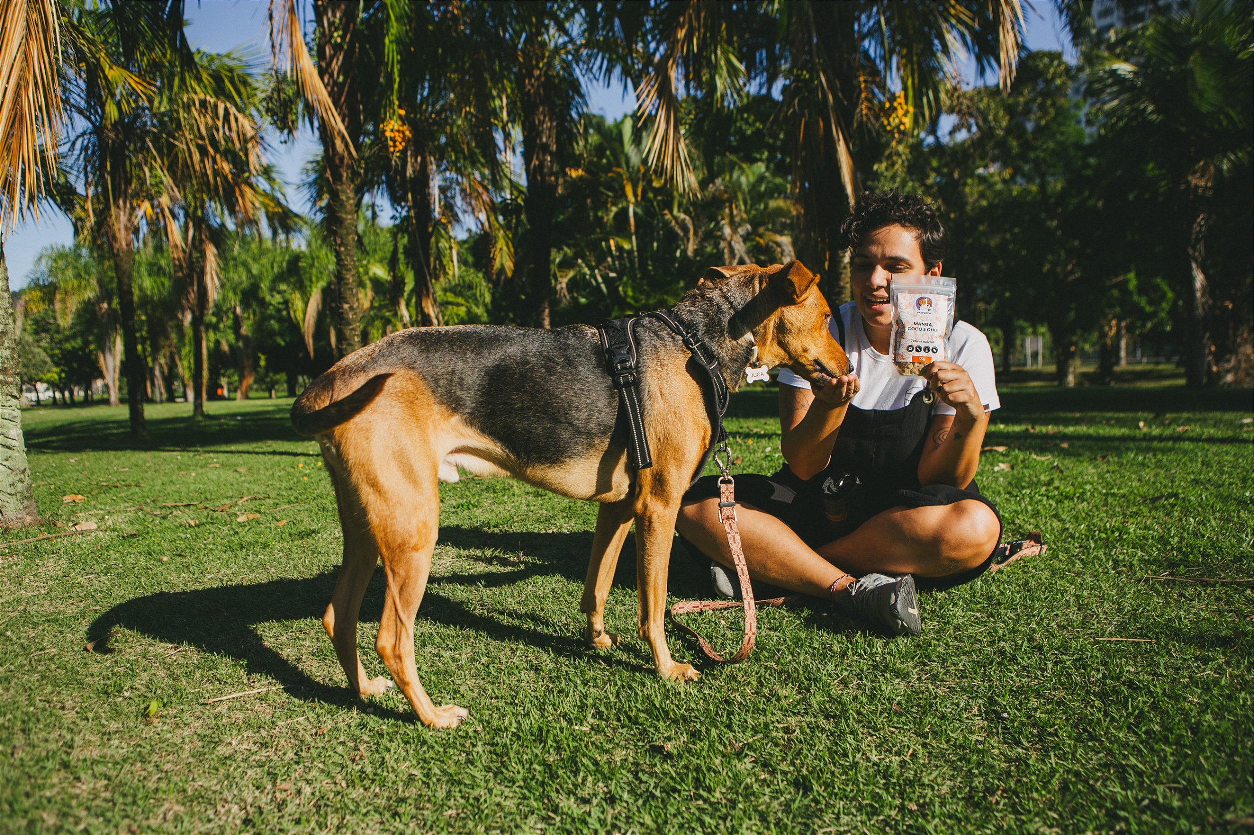 Petisco Natural de Manga, Coco e Chia - Pawsitive Petiscos Naturais