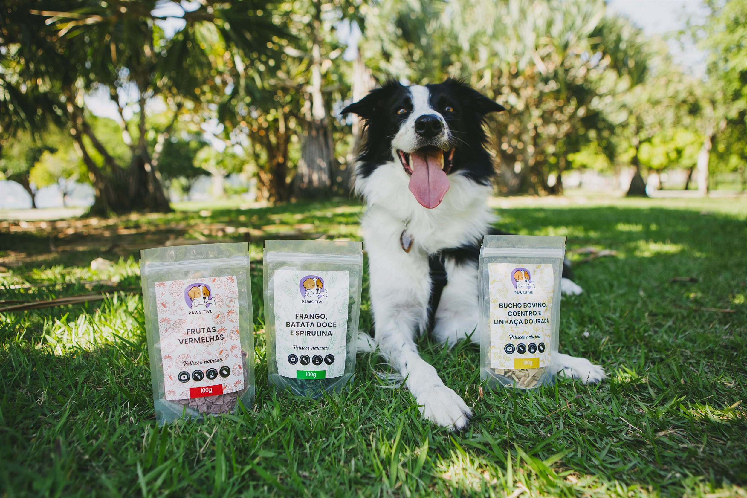 Petisco Natural Combo 1 Fruta e 2 Proteína - Pawsitive Petiscos Naturais