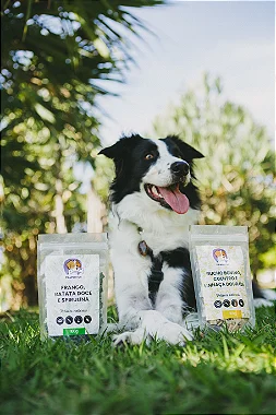 Petisco Natural Combo 2 Proteínas - Pawsitive Petiscos Naturais