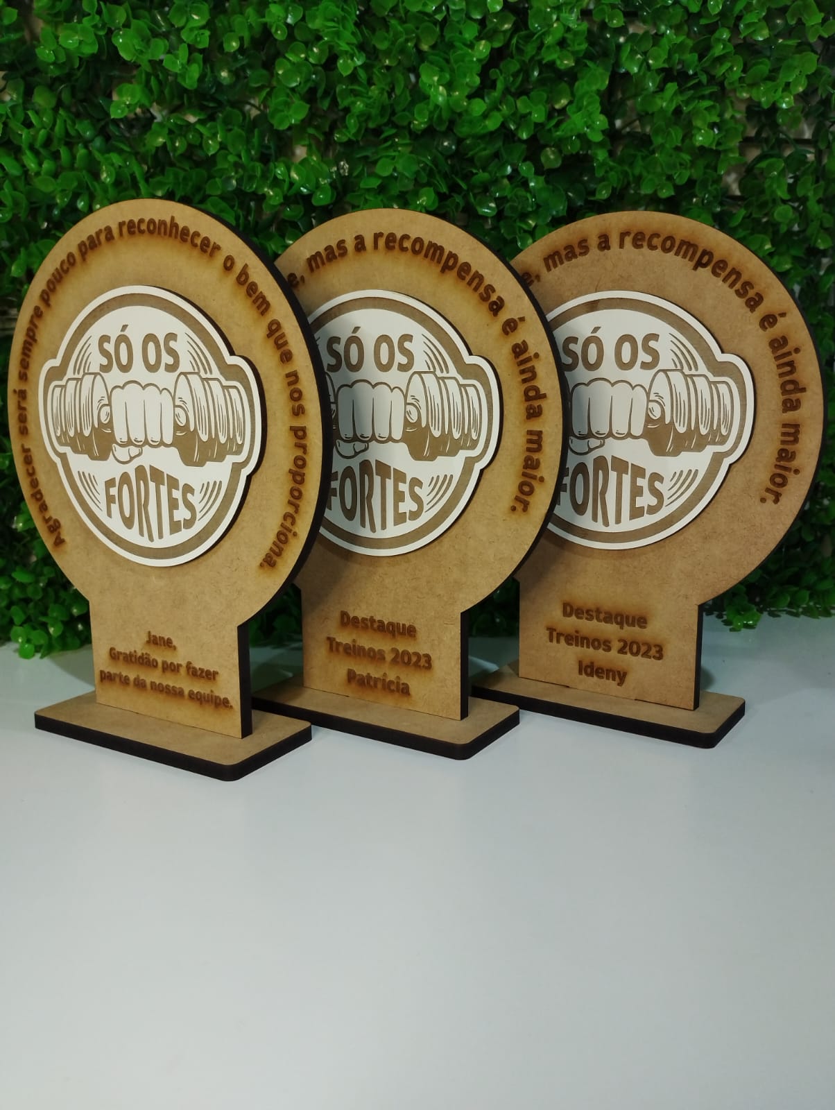 Trofeu personalizado em mdf - Cód. MDF016 - MDF